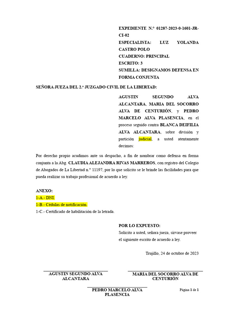 Designación Conjunta de Defensa Legal | PDF | Justicia | Crimen y violencia