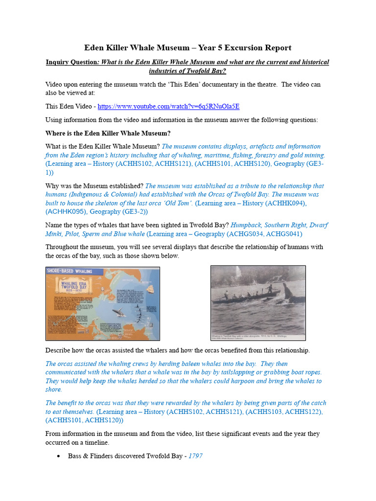 Eden Museum Excursion | PDF | Toothed Whales | Whaling