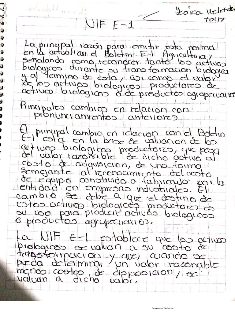 Resumen NIF E-1 | PDF