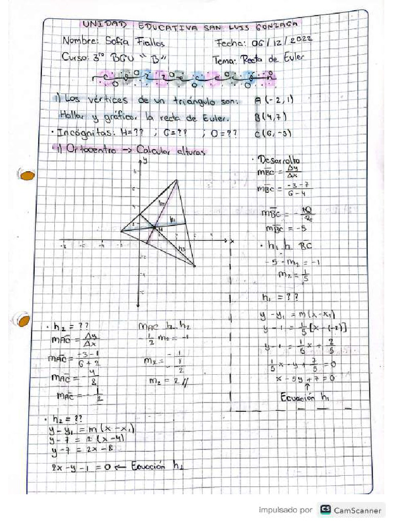 Corrección, Taller Recta de Euler - Compressed | PDF
