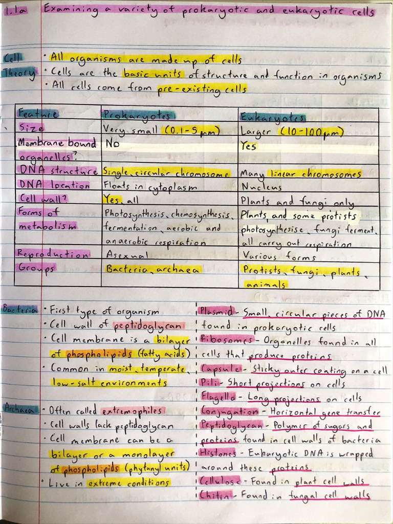 Biology Year 11 Syllabus Outcome 1.1a Summary | PDF