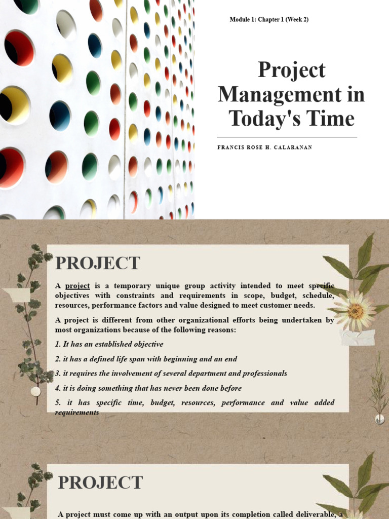 Pa114 Project Development | PDF | Project Management | Product Lifecycle