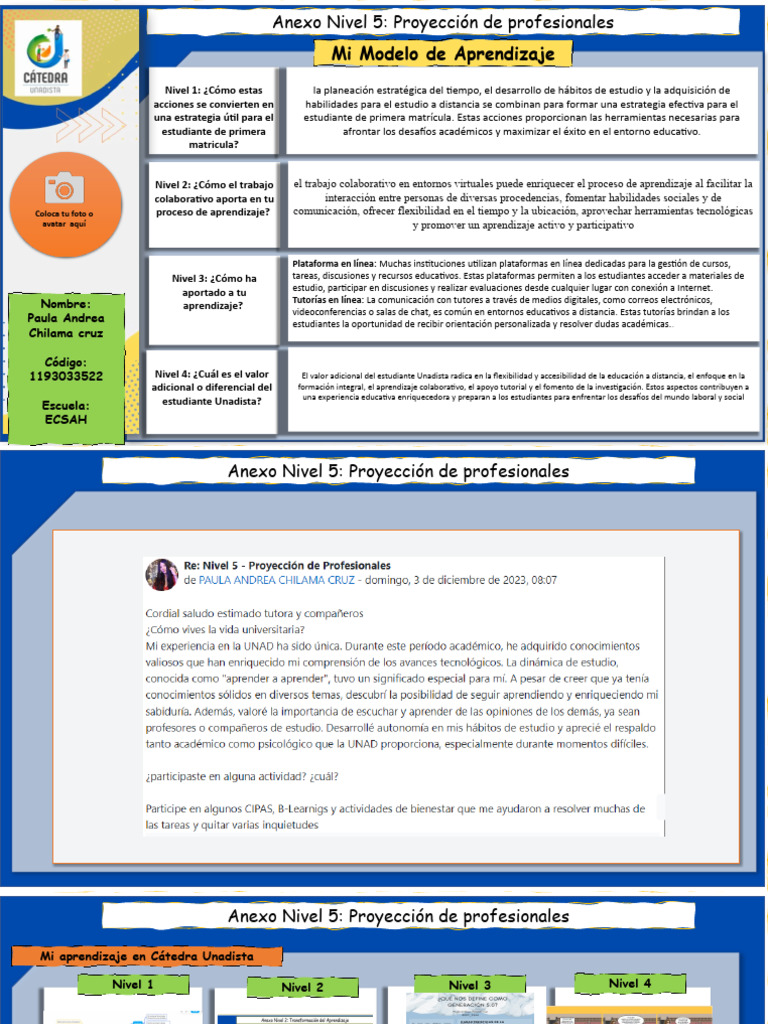 Anexo 5 - Nivel 5 Modelo de Aprendizaje (Autoguardado) | PDF | Aprendizaje | Educación a distancia