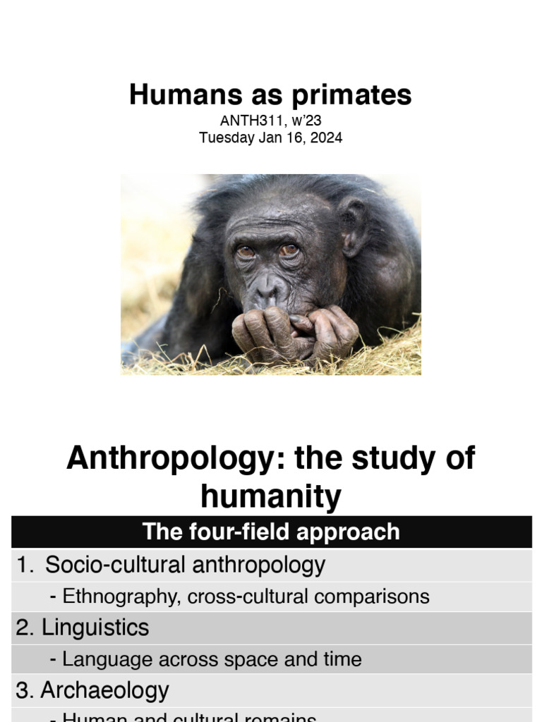 Class 3 - Humans As Primates | PDF | Ape | Monkey