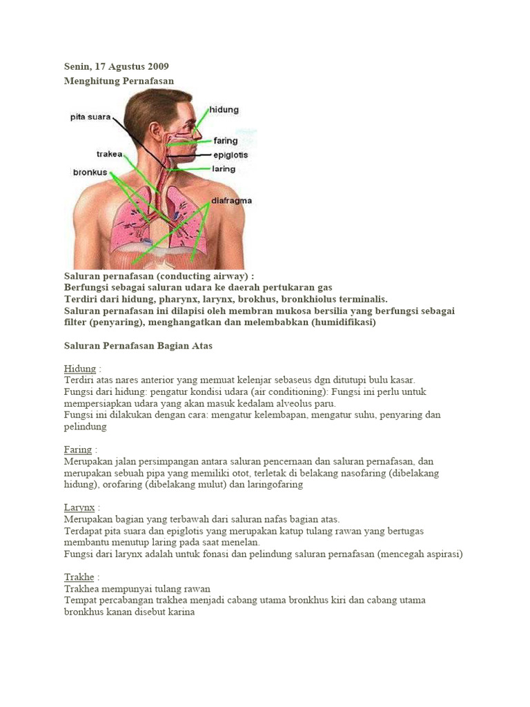 Frekuensi Pernapasan | PDF