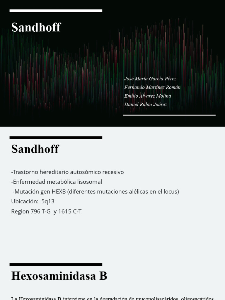 Sandhoff | PDF | Biomoléculas | Nutrientes
