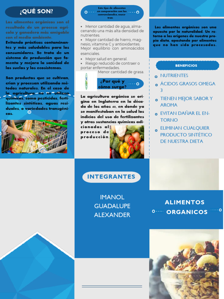 Triptico Alimentos Organicos | PDF | Alimentos | Comidas orgánicas