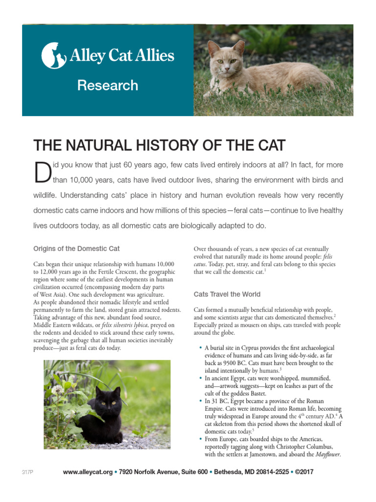 Natural History of The Cat - 317P | PDF | Cats | Domesticated Animals