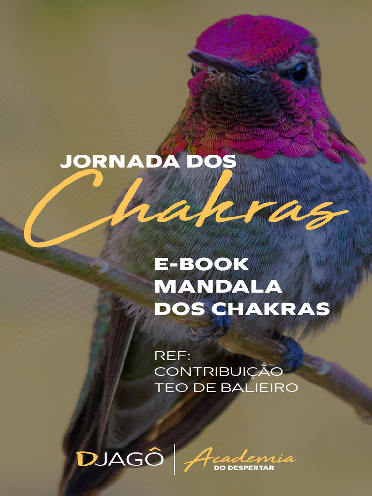 Mandala dos Chakras: Guia Completo | PDF | Chacra | Tantra