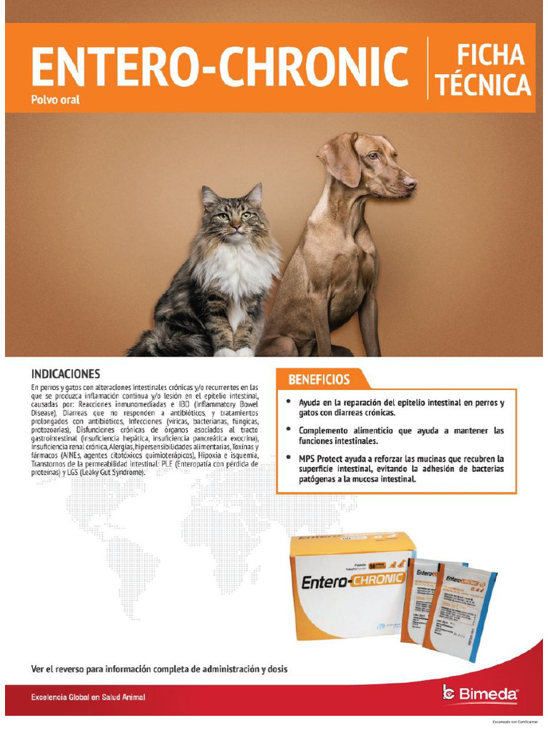 EnteroChronic DataSheet | PDF