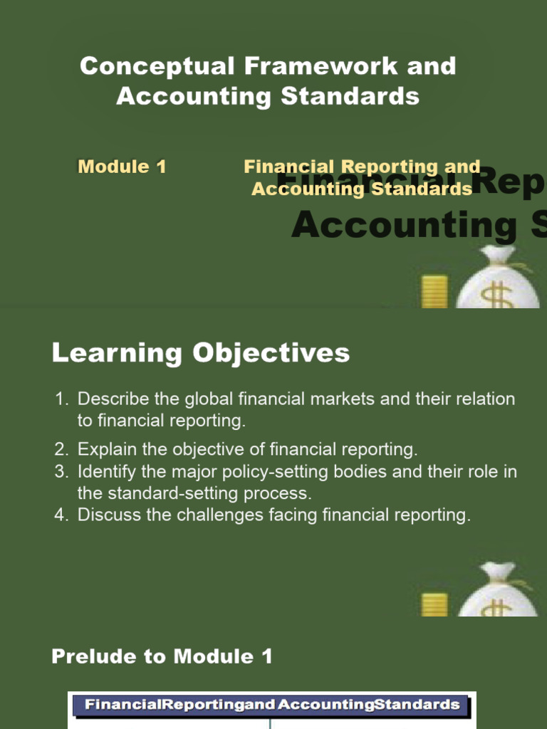 Financial Reporting and Accounting Standards | PDF | International ...