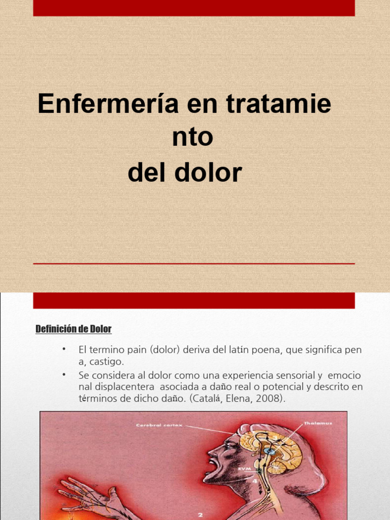 14 CLASE Unidad 3 Clase Uba Dolor | PDF | Dolor | Analgésico