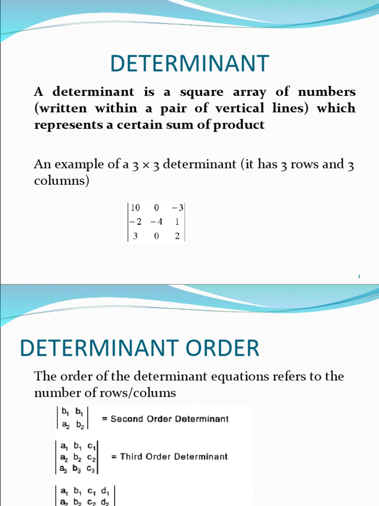 DETERMINANTS | PDF