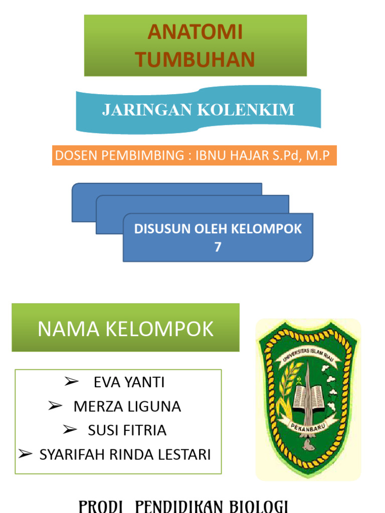 Jaringan Kolenkim pada Tumbuhan | PDF