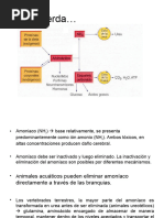 La Síntesis de La UREA | PDF | Urea | Sustancias químicas