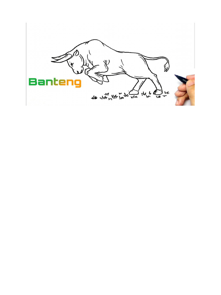 Gambar Banteng Warnai | PDF