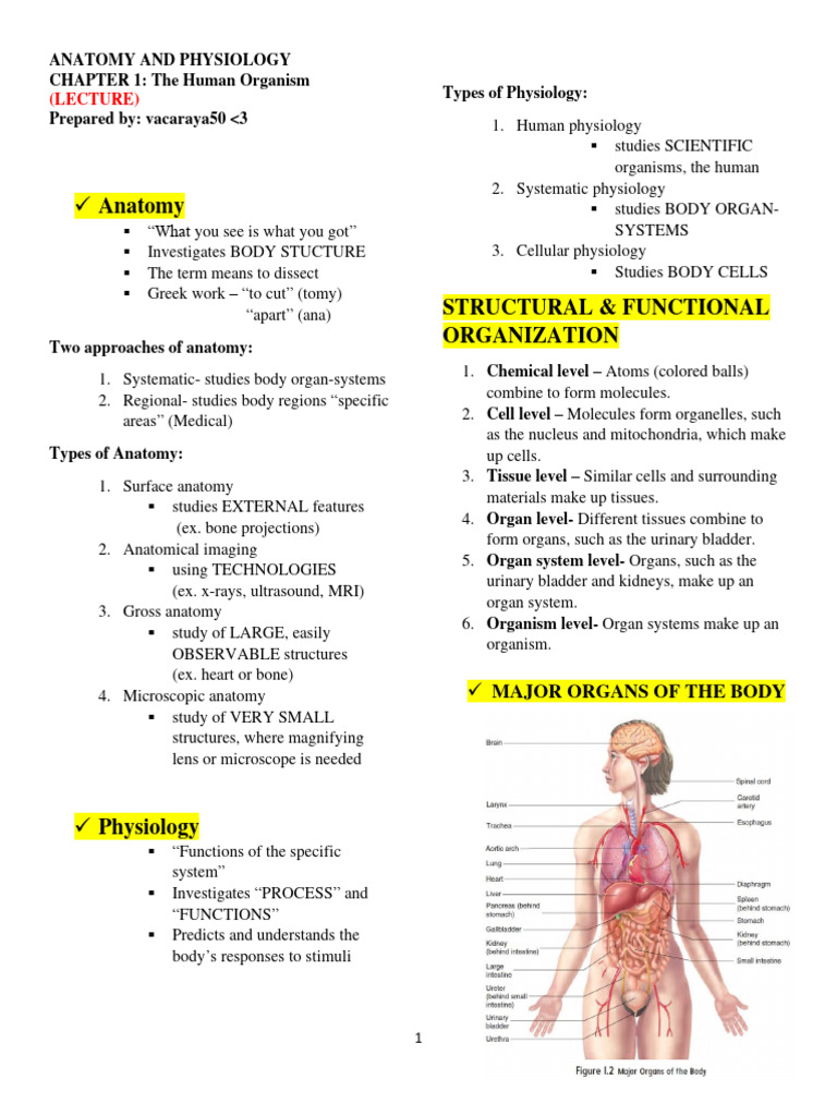 Anaphy Chap1 Lec Handout 1 | PDF