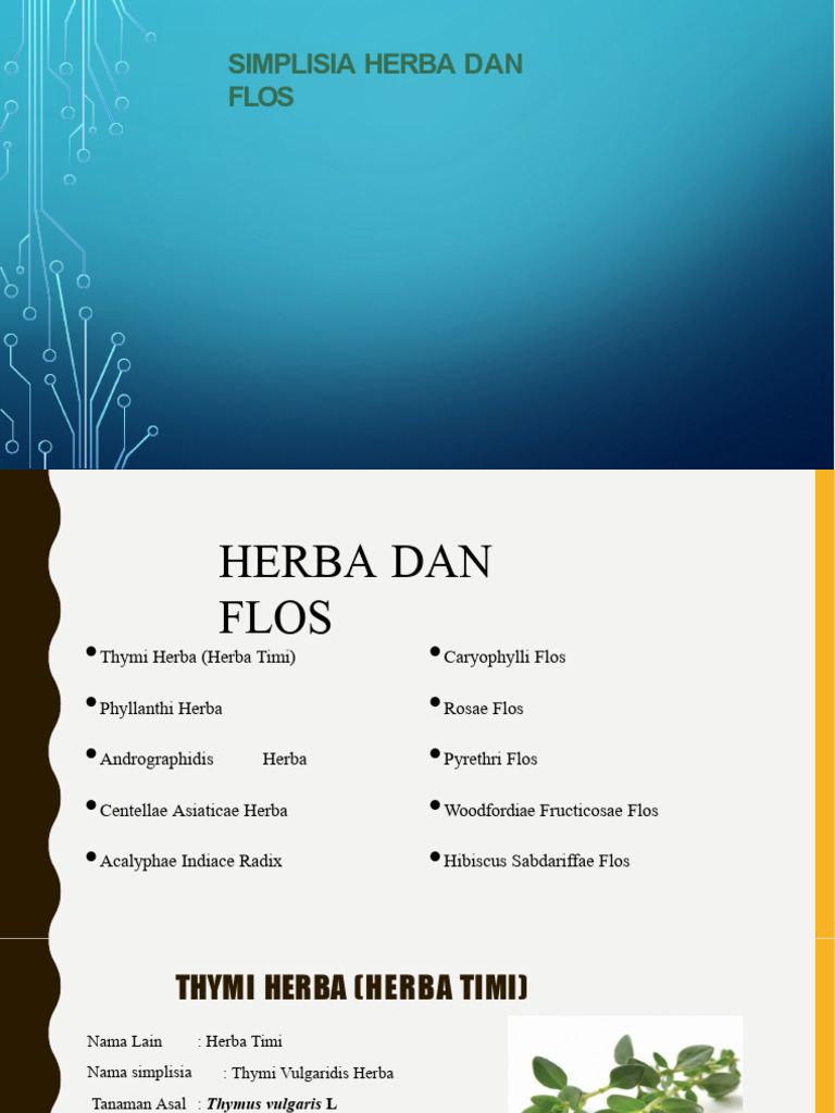 Identifikasi Simplisia Herba dan Flos | PDF
