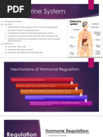 Grade 12 Endocrine System Notes | PDF | Endocrine System | Pancreas
