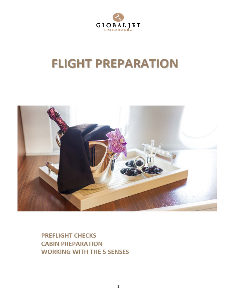 5 - Flight - Preparation | PDF