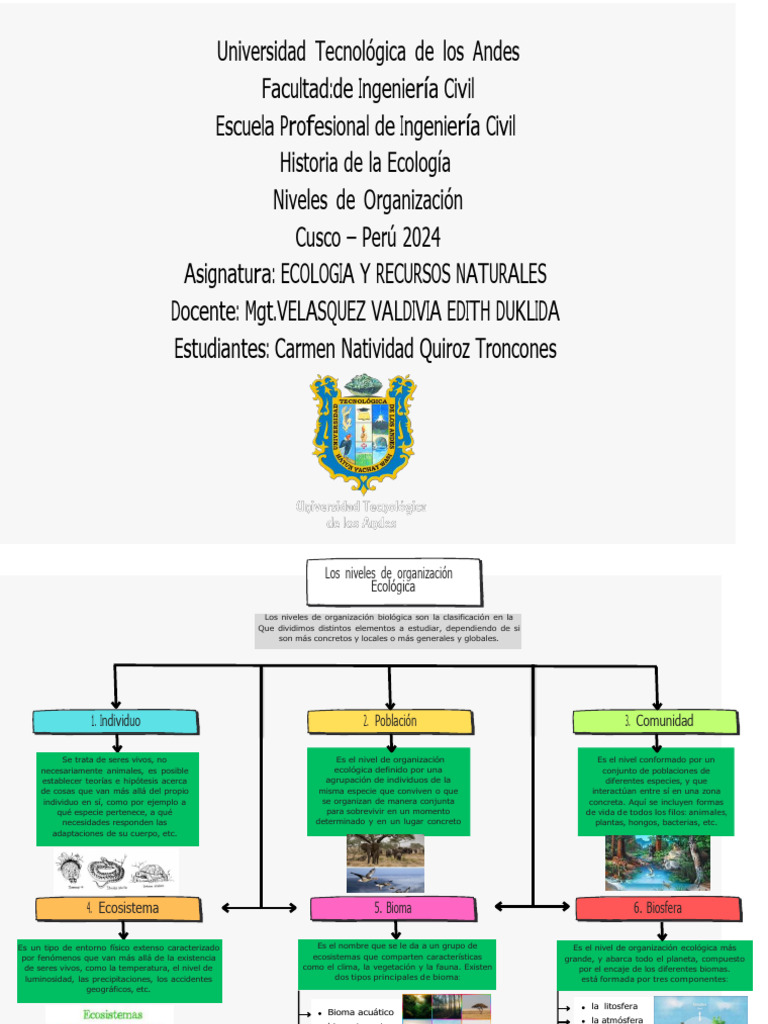 Organizador Visual de Niveles de Organizacion Ecologicas | PDF ... Organizador Visual de Niveles de Organizacion Ecologicas | PDF ...
