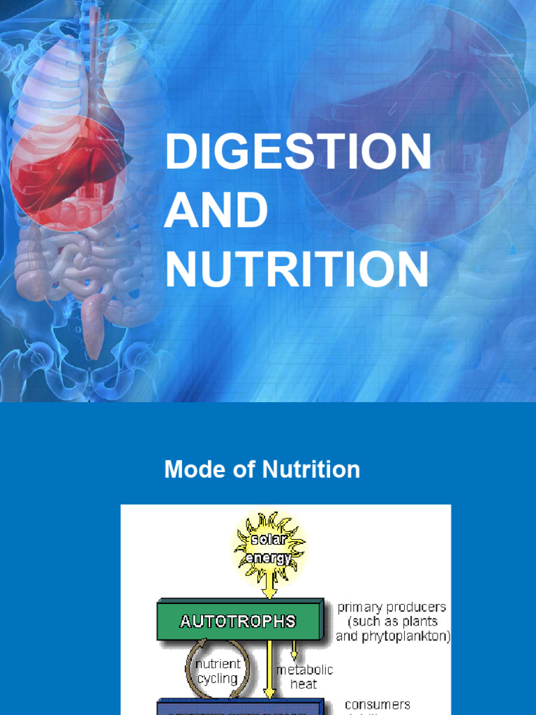 Digestive Systems and Nutrition Mechanisms | PDF | Digestion | Stomach