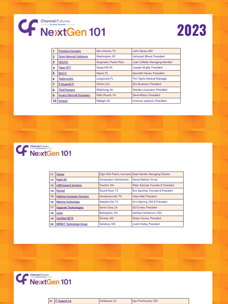 Next Gen 101 | PDF | Leadership | Information Technology Management