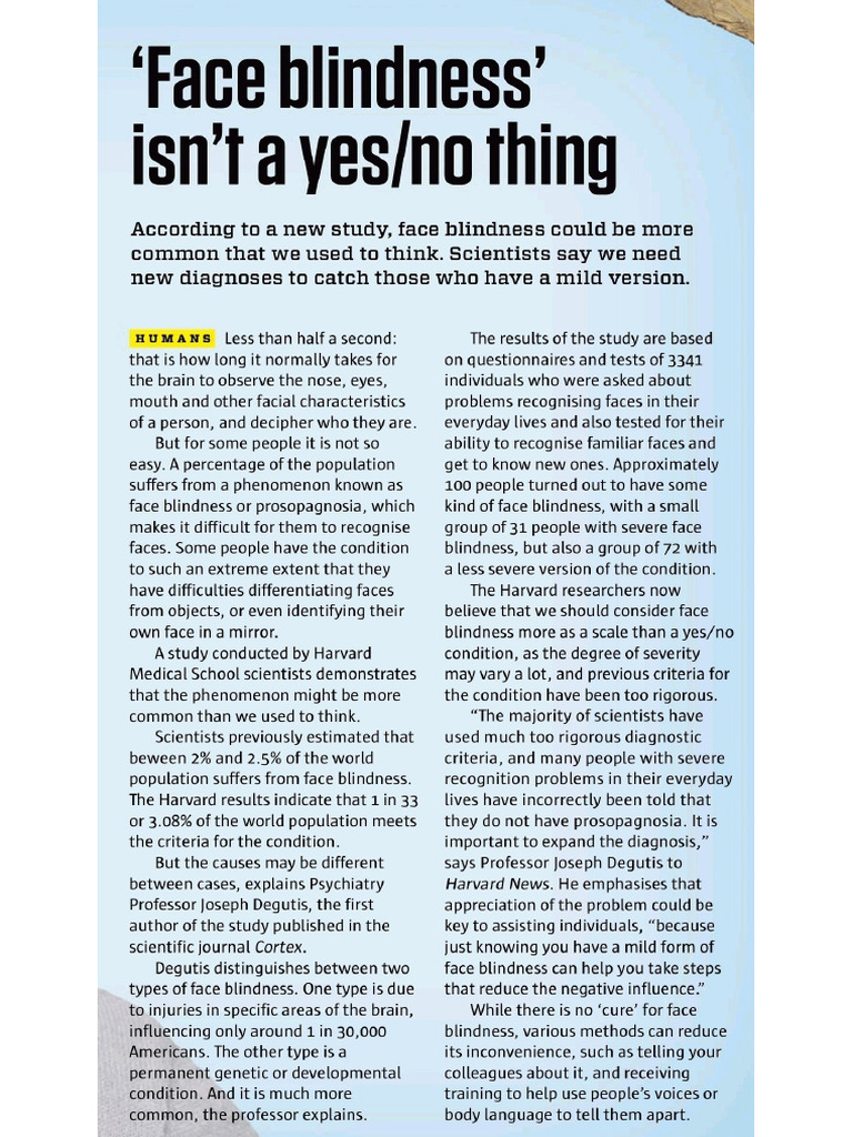 Face Blindness | PDF