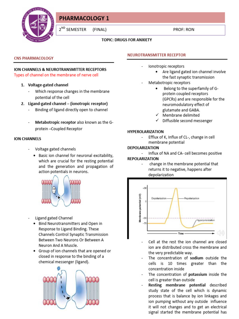 Final Pcol | PDF | Benzodiazepine | Membrane Potential