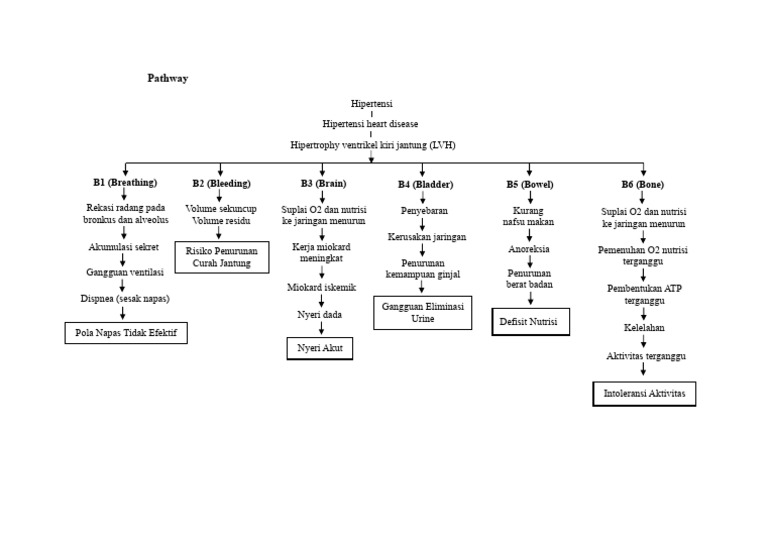Pathway HHD New | PDF