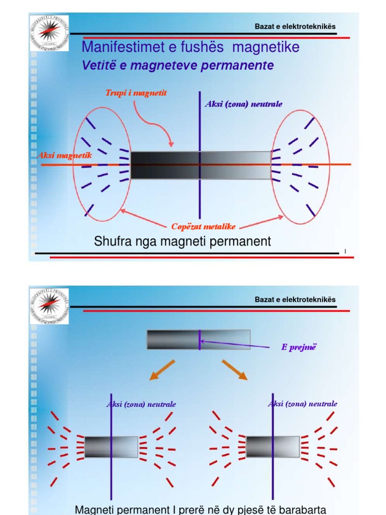 BET 1 Elektromagnetizmi Fusha Magnetike | PDF
