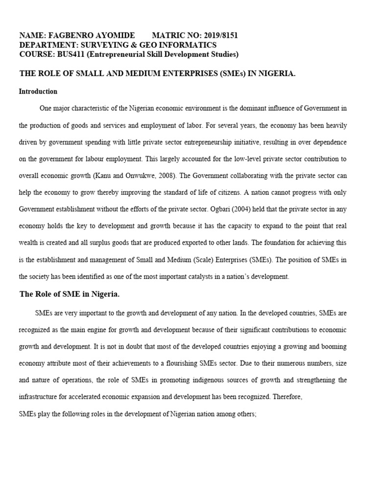 Bus Assignment | PDF | Small And Medium Sized Enterprises | Entrepreneurship