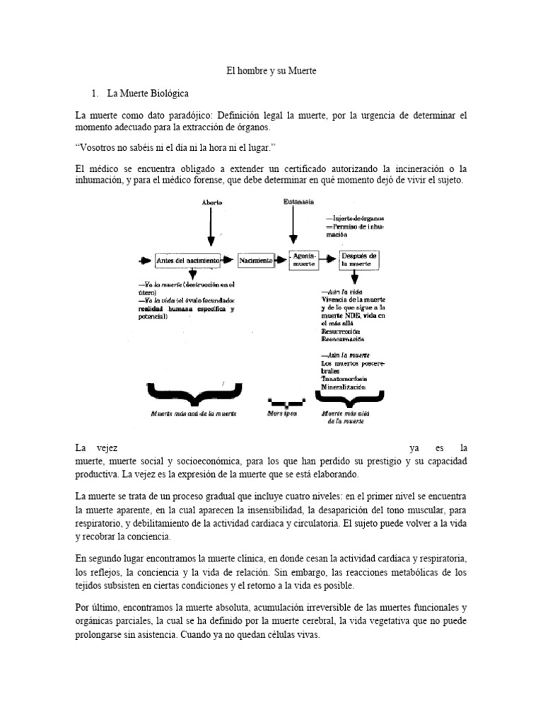 La Muerte: Procesos y Perspectivas | PDF | Muerte | Temor