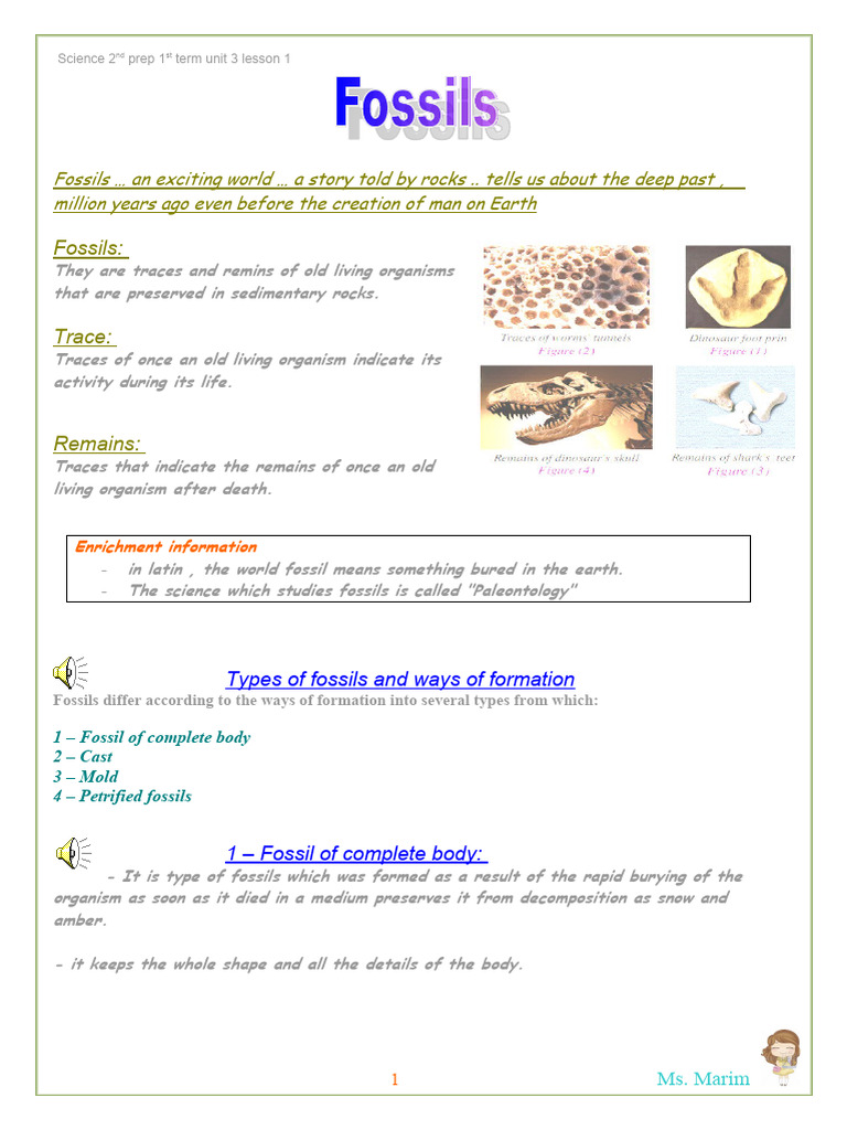 Fossils | PDF | Fossil | Nature