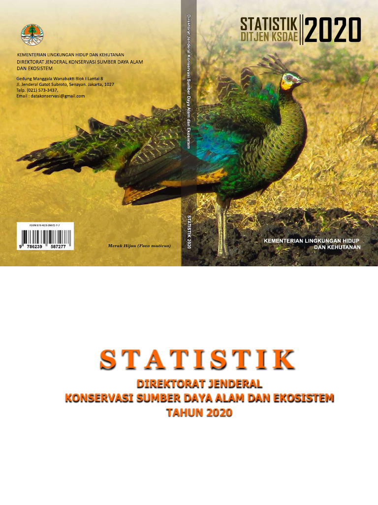 Statistik 2020 - Ksdae | PDF
