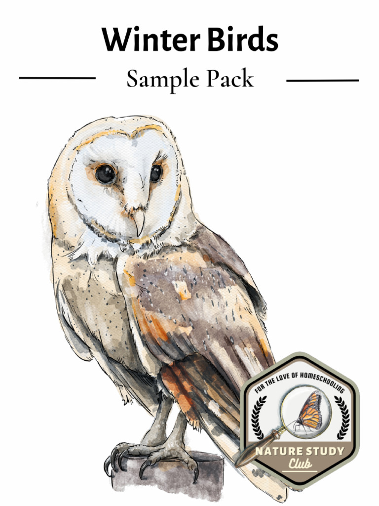 Winter Birds Sample Pack by FTLOH | PDF