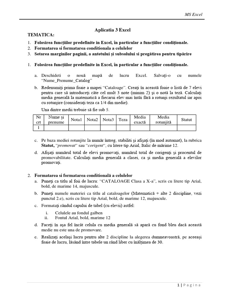 Aplicatia 3 - Excel | PDF