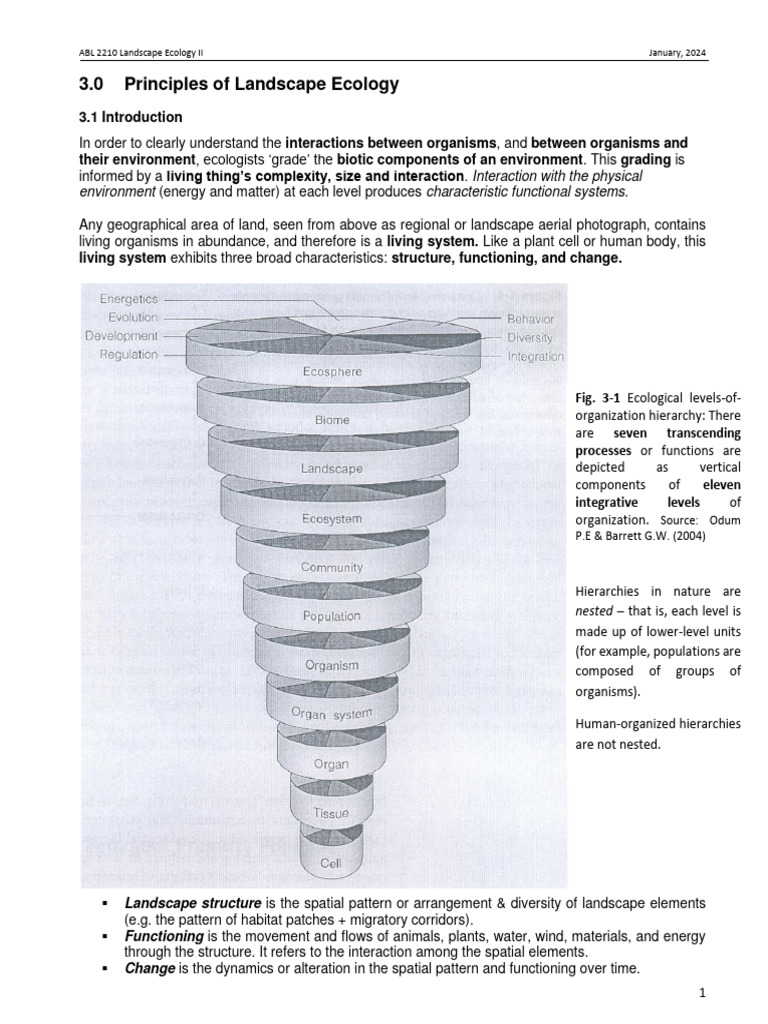 30 - Principles of Landscape Ecology A (Patches) - 240215 - 182238 ...