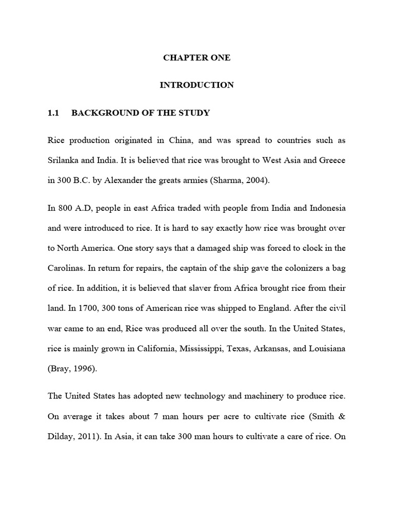 Chapter One | PDF | Rice | Breads