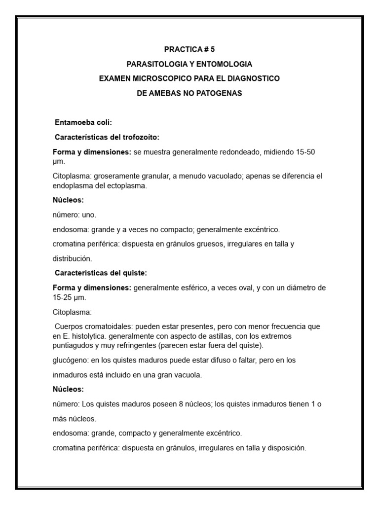 PRACTICA # 5 Amebas No Patogenas | PDF