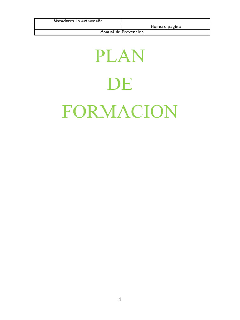 PLAN de Formacion | PDF