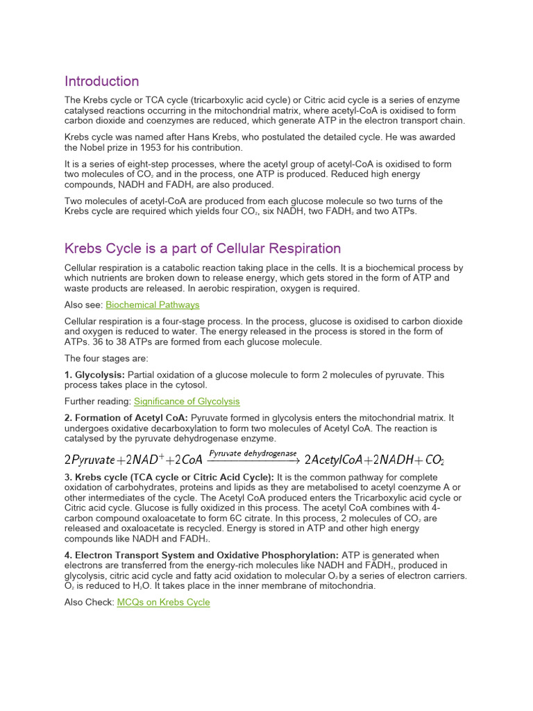 Krebs Cycle | PDF