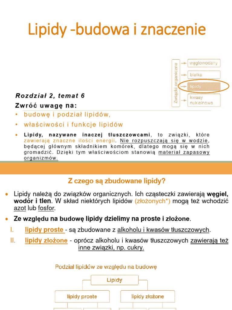 09 - Lipidy - Budowa I Znaczenie | PDF