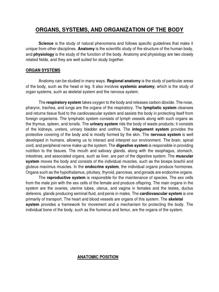 ORGANS | PDF | Human Body | Abdomen