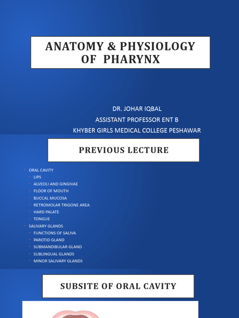 Anatomy & Physiology of Pharynx-1 | PDF | Tongue | Neck
