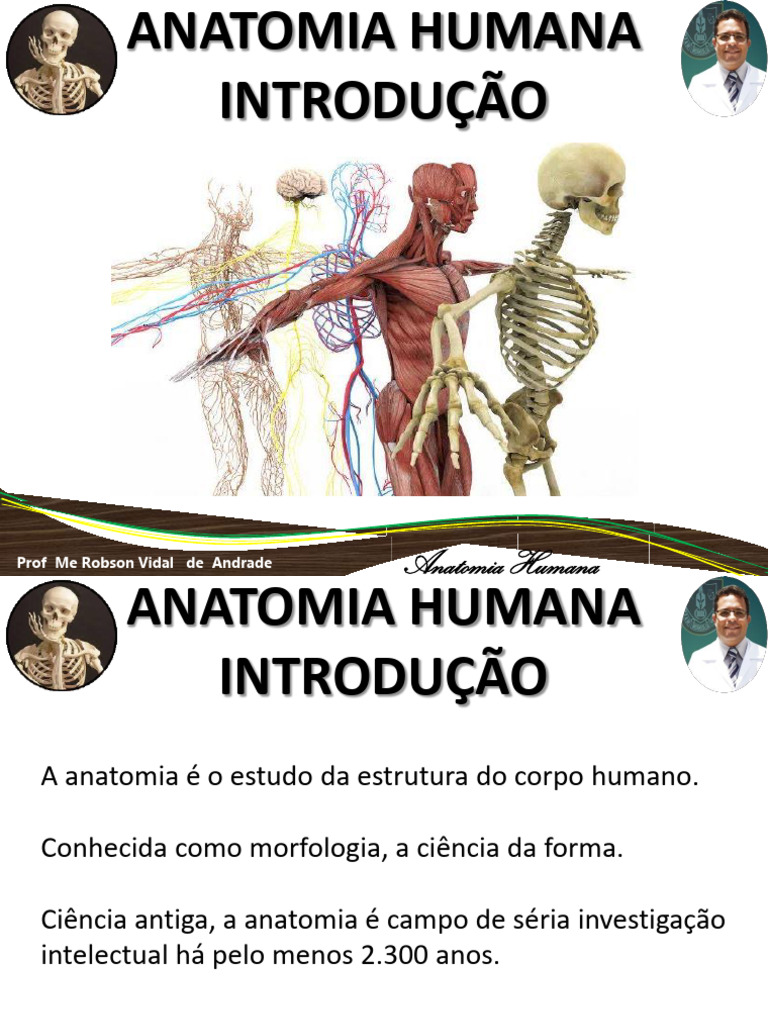 Aula de Introducao A Anatomia Humana | PDF | Anatomia | Histologia Aula de Introducao A Anatomia Humana | PDF | Anatomia | Histologia
