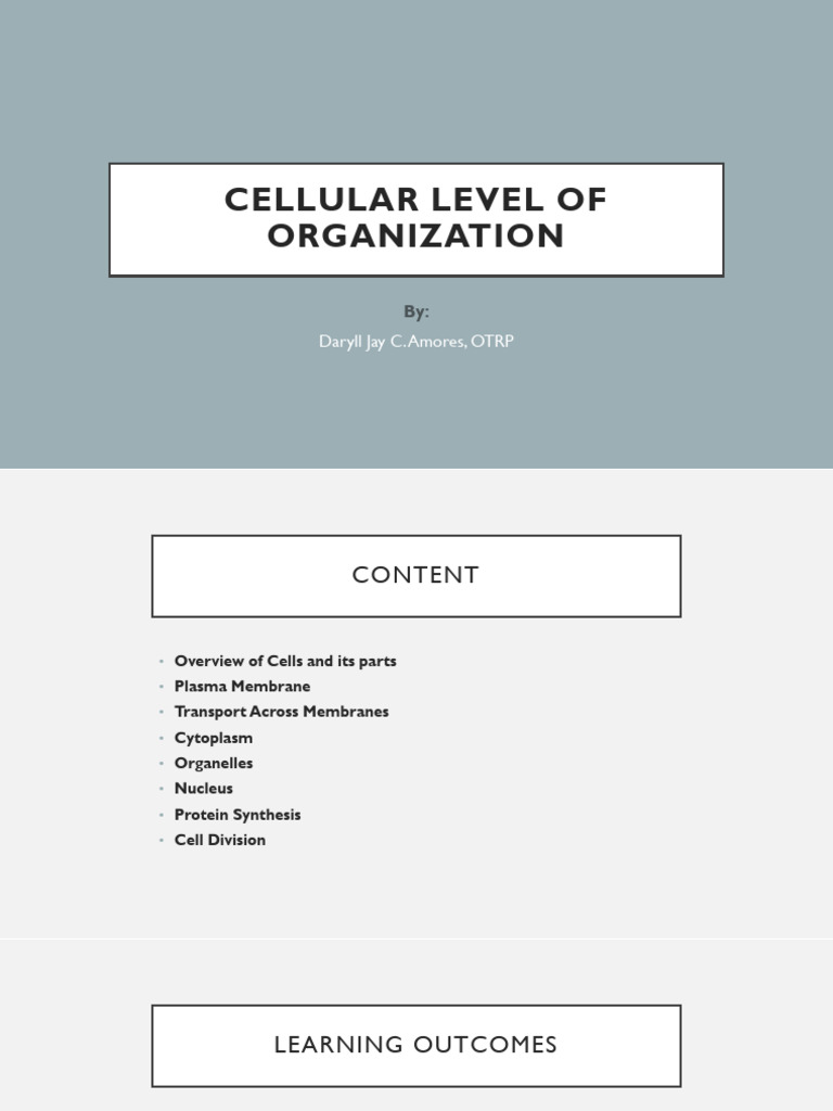 Cellular Level of Organization | PDF | Endoplasmic Reticulum | Cell ...
