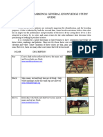 Wolvden Base Coat Genetics Guide | PDF | Nature