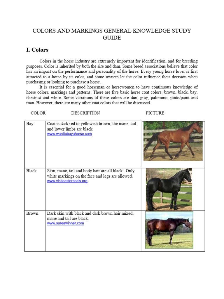 Colorsandmarkings - Horse | PDF | Livestock | Domesticated Animals