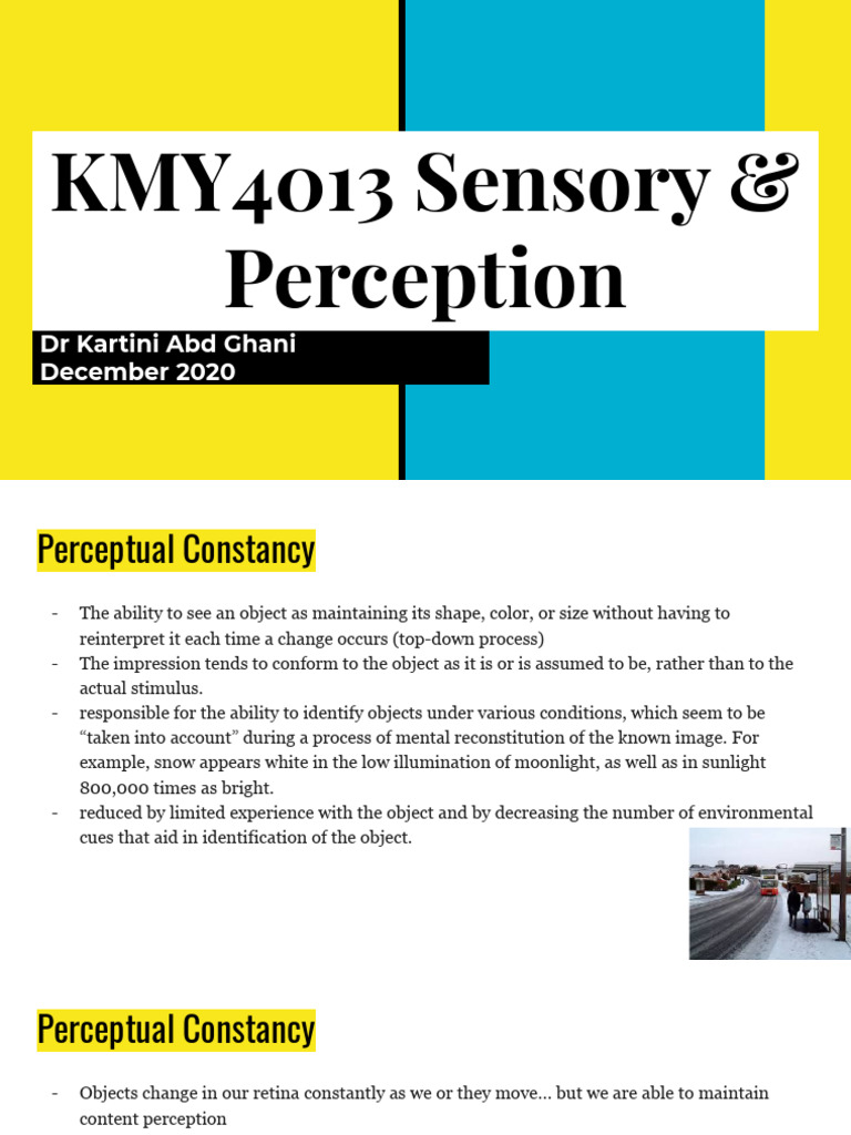 KMY4013 LU4 Sensory Perception | PDF | Perception | Cognitive Science